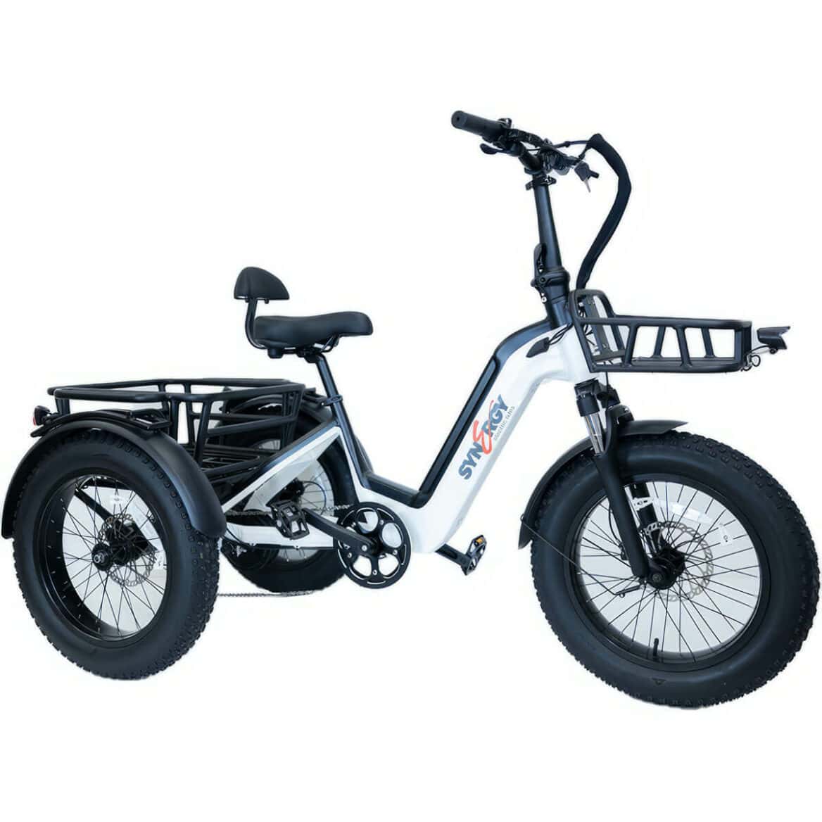 Home Promo - Synergy Electric Vehicles™ Canada